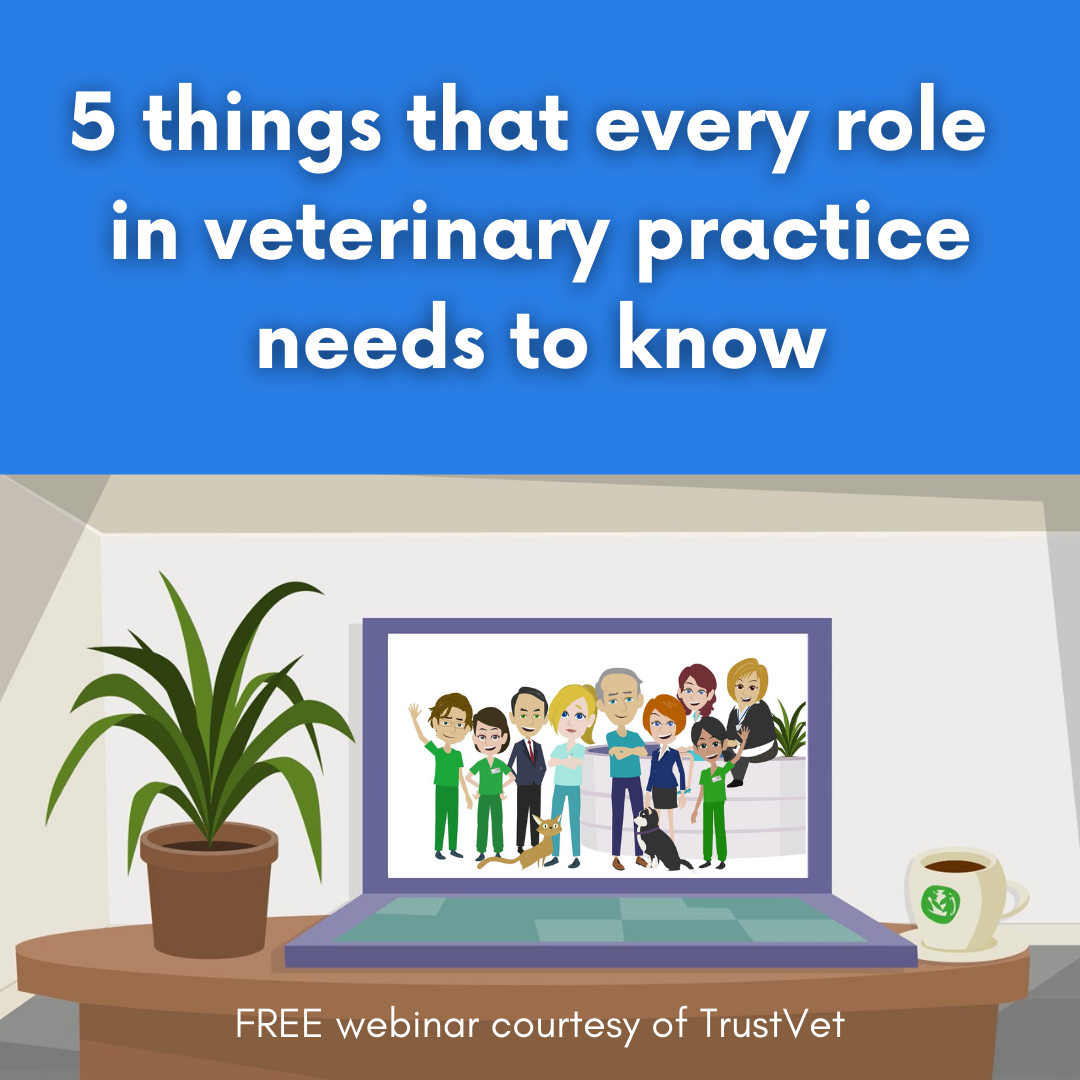 5 things that every role in veterinary practice needs to know ...